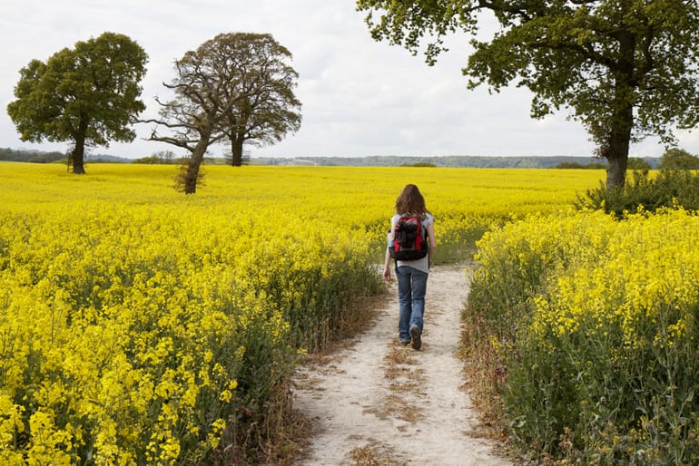 A Guide to the UK’s Best Walking Trails | Great Little Breaks