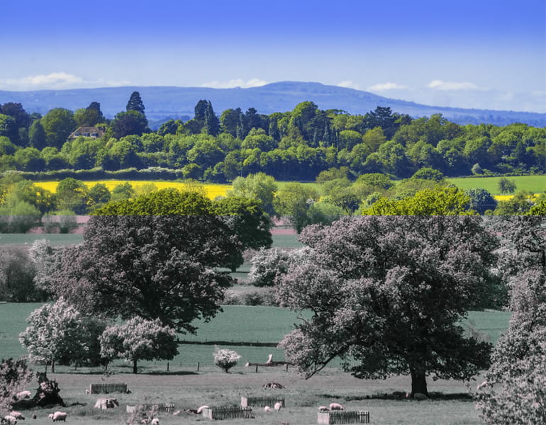 Its all about Worcestershire | Great Little Breaks