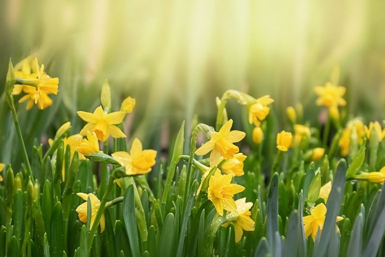 Things to do in Scotland | Great Little Breaks