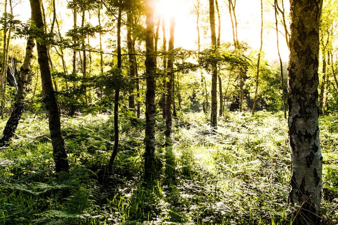 Top Walks in the Midlands and Central England | Great Little Breaks
